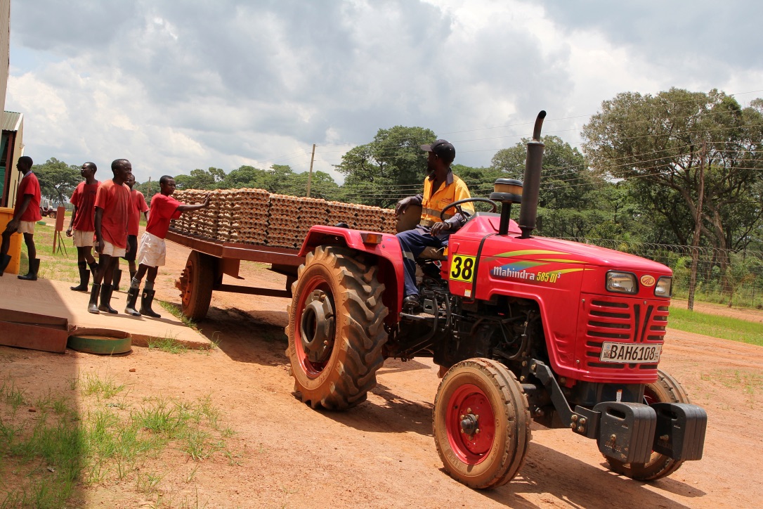 Mutanda Farm – Mutanda Farms ltd