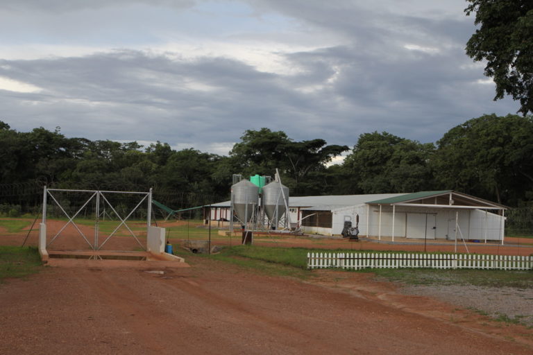 Products – Mutanda Farms ltd