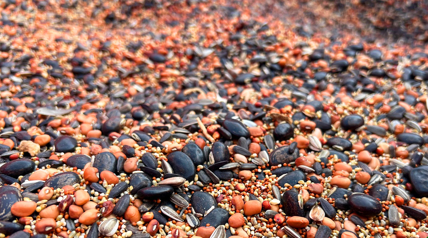 Cropping - Mutanda Farms