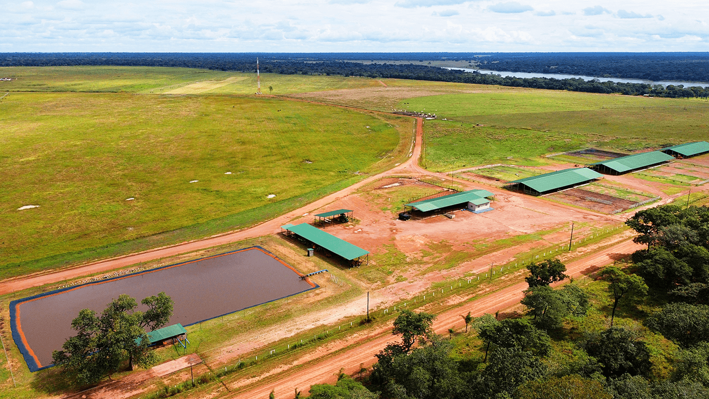 Our Farms - Mutanda Farms