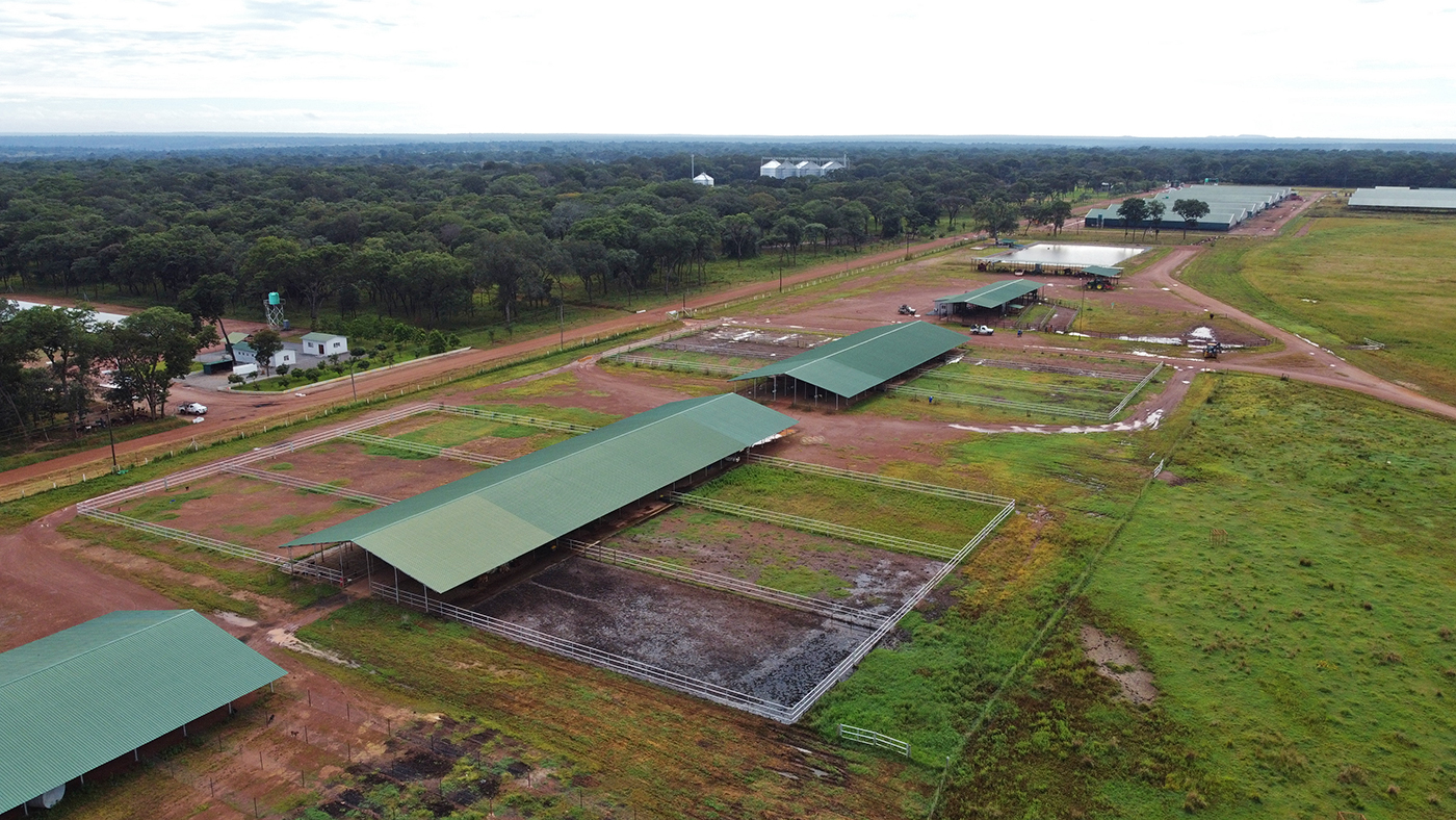 Our Farms - Mutanda Farms