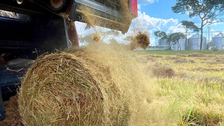 About Us - Mutanda Farms