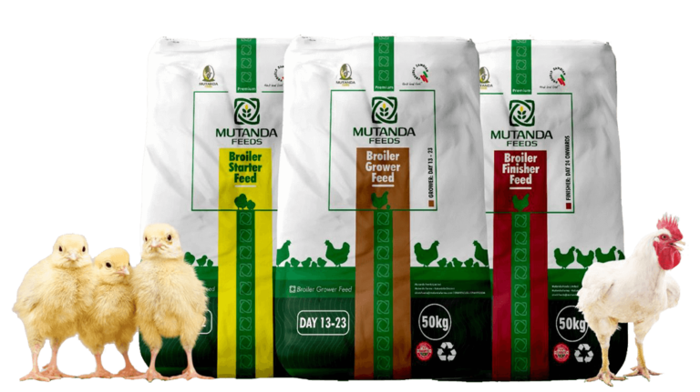 Stock Feeds - Mutanda Farms